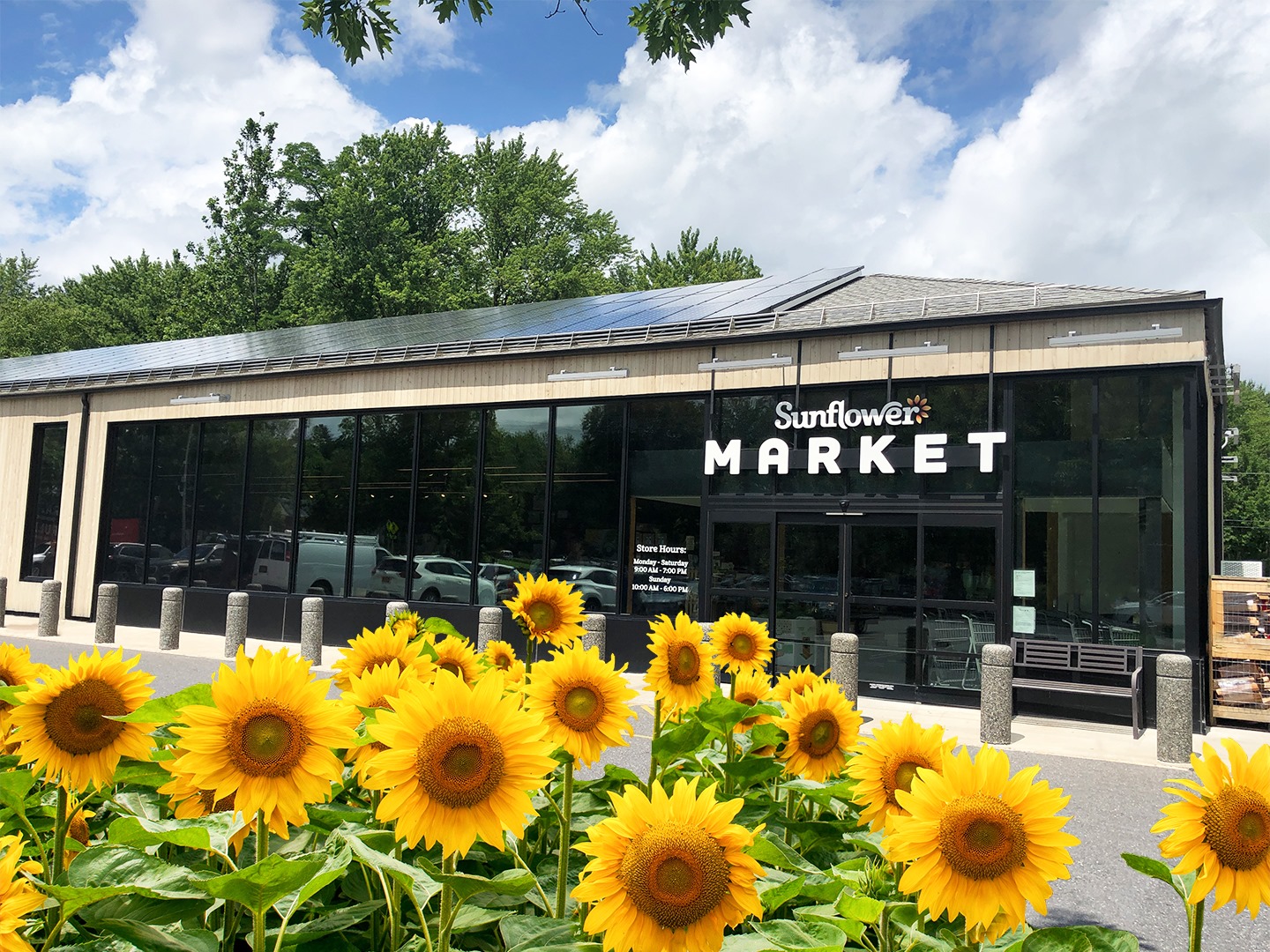 Sunflower Natural Foods Market: Deli & Juice Bar in Woodstock, NY