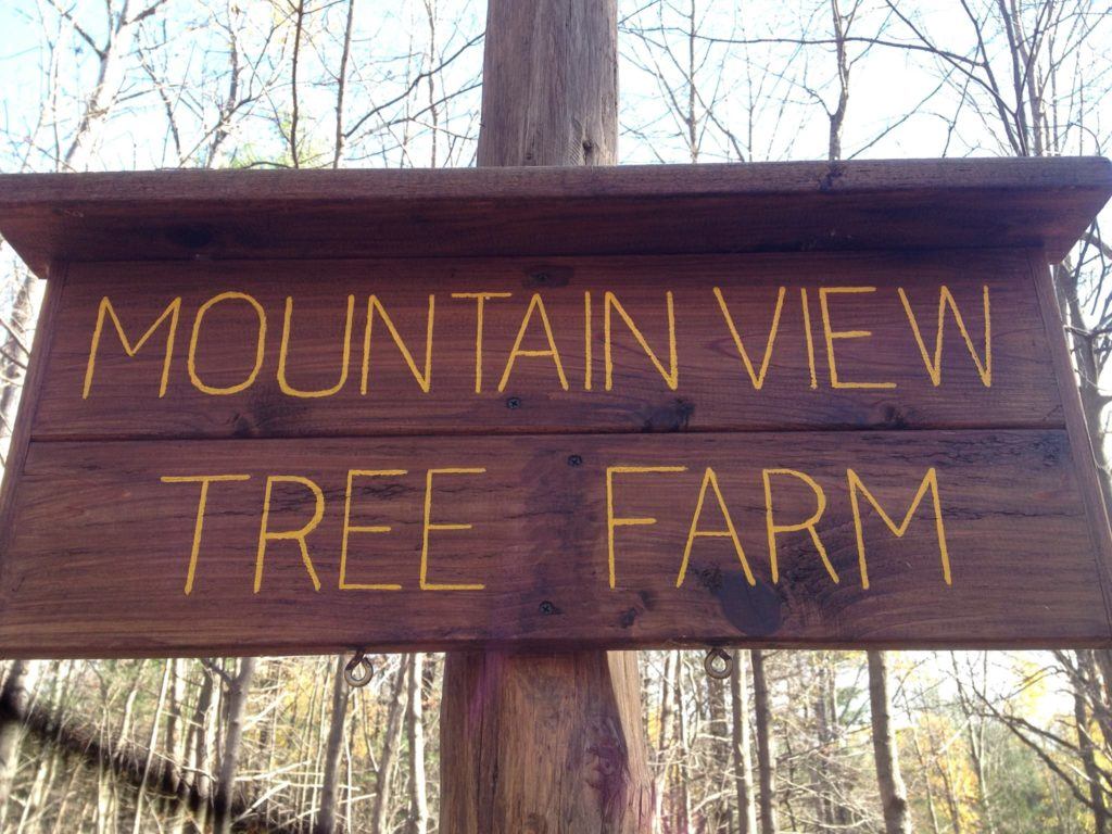Mountain View Tree Farm | Ulster County NY Tourism
