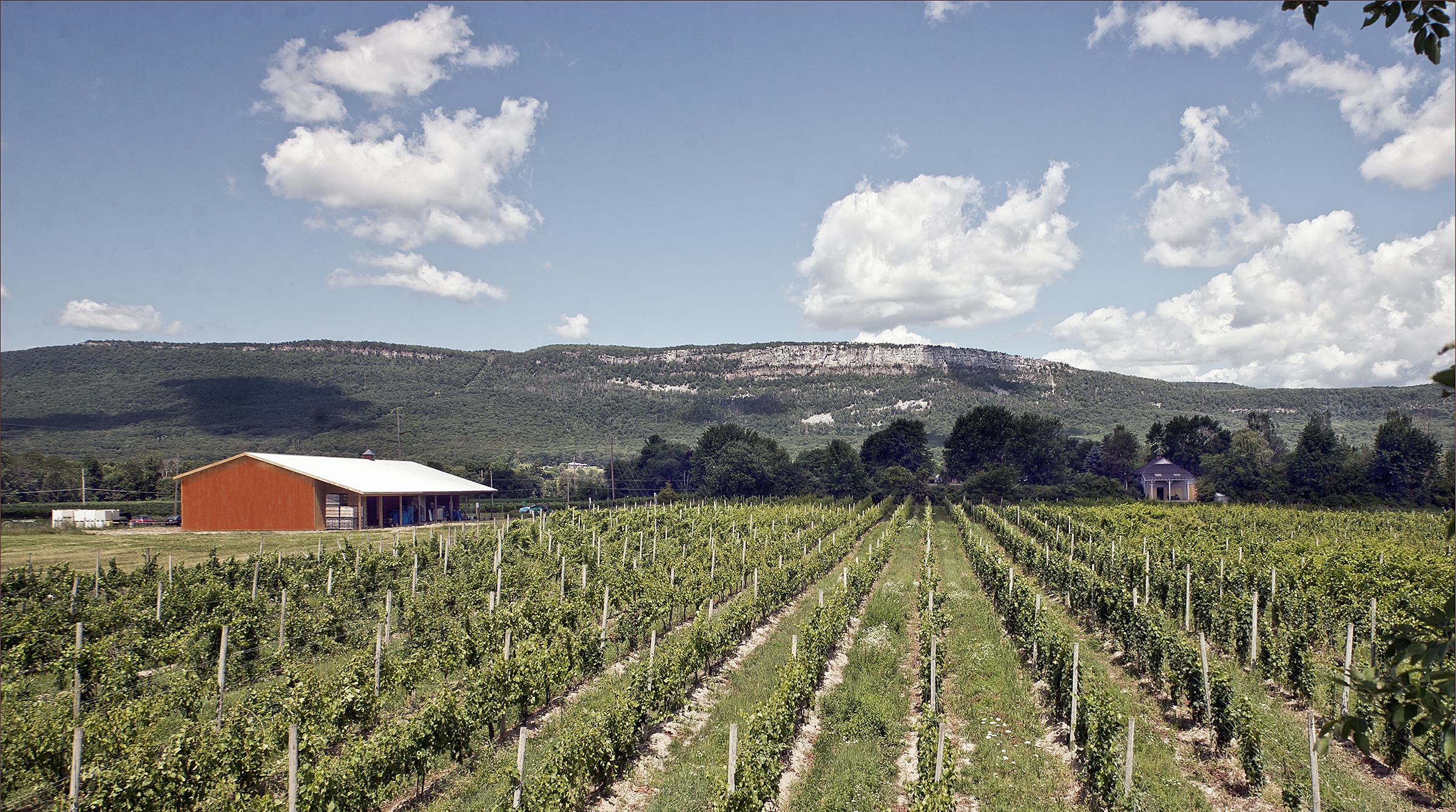 Whitecliff Vineyard and Winery | Ulster County NY Tourism