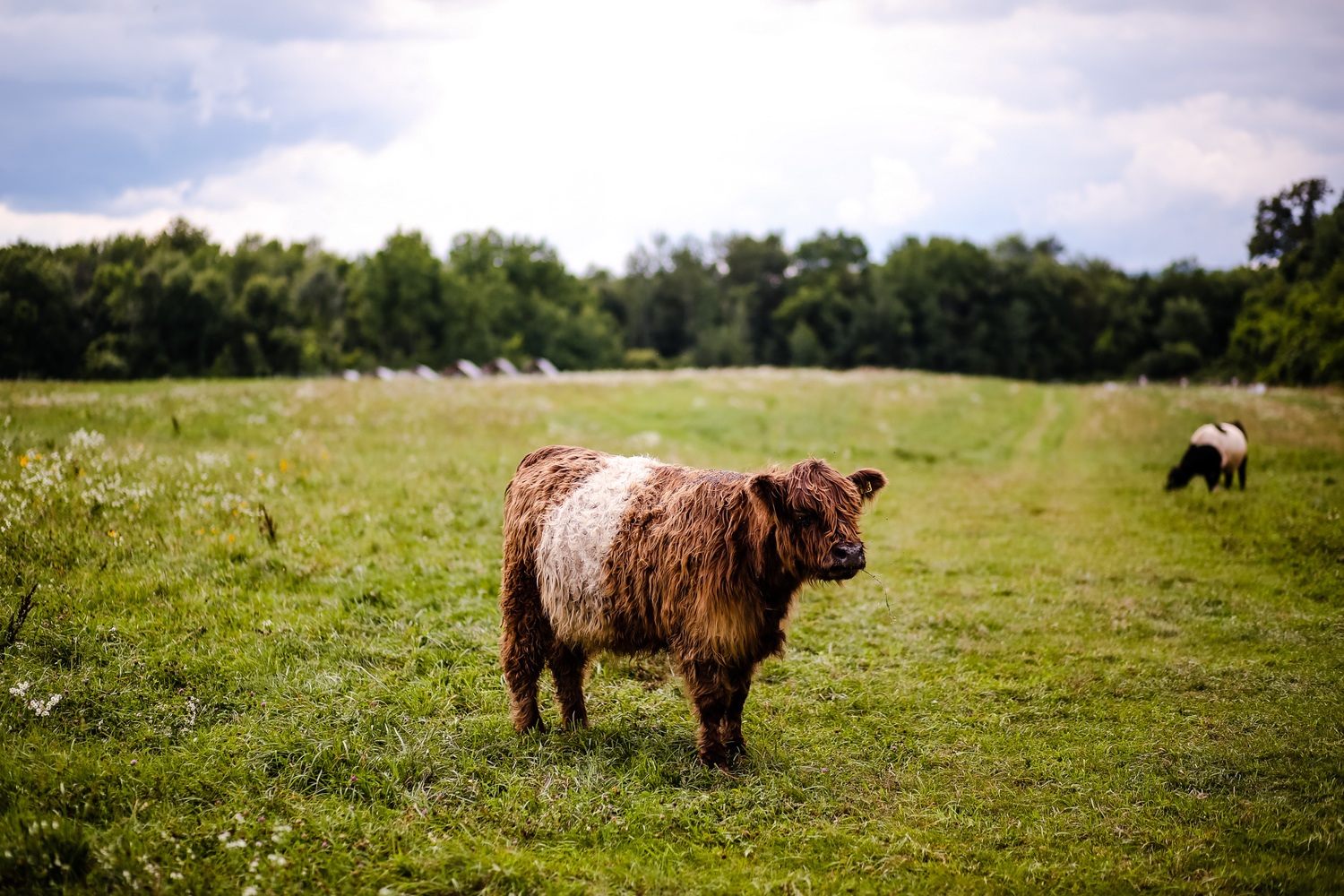 Karl Family Farms in Modena, NY | Ulster County NY Tourism