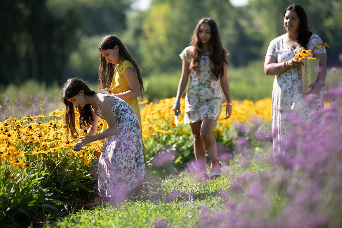 Hudson Wildflower Co. | UC Tourism Production