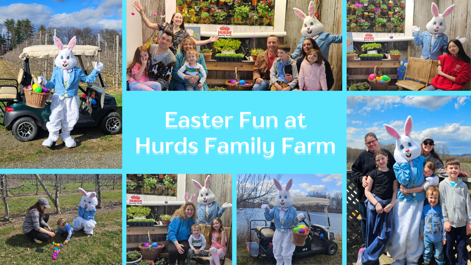 Easter Fun at Hurds Family Farm | UC Tourism Production